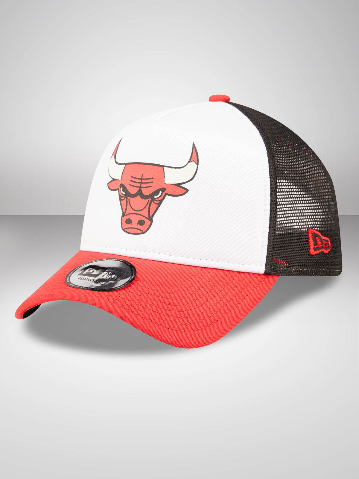 Buy Official NBA Basketball Merchandise Online – Page 3 – Shop The Arena